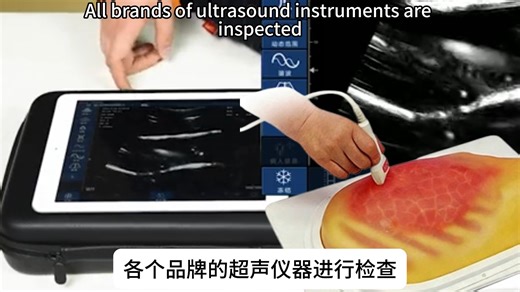 B超血管、异物、乳房囊肿、胆囊模型B-ultrasound vascular, foreign body, breast cyst, gallbladder m