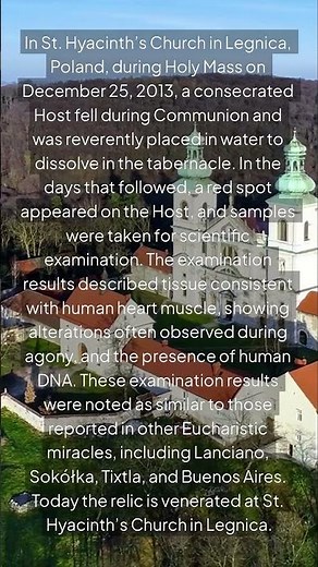 Eucharistic Miracles Saint Carlo Acutis