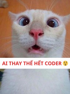 960 reactions · 52 shares | 烙 “AI code còn hơn sinh viên năm 4 rồi...