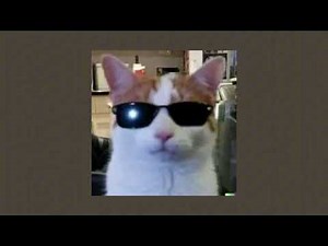 Dinner Is Not Over - Jack Stauber (sped up/nightcore)