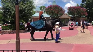 1.2K views · 35 reactions | The Princess Cavalcade! Merida riding Angus has to be one of the most magical additions to Magic Kingdom! #DiscoverWDWMagic #mmtravels #marvelousmousetravels | Marvelous Mouse Travels | Facebook