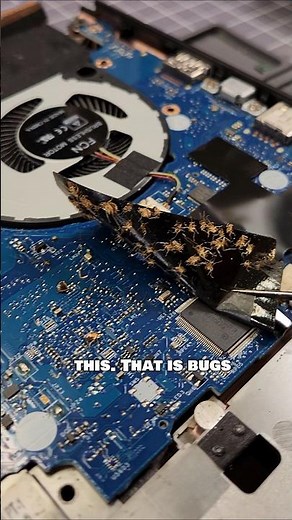 I'm Not FIXING This LAPTOP! Bed Bugs! Cat Pee! #laptoprepair #pc #tech