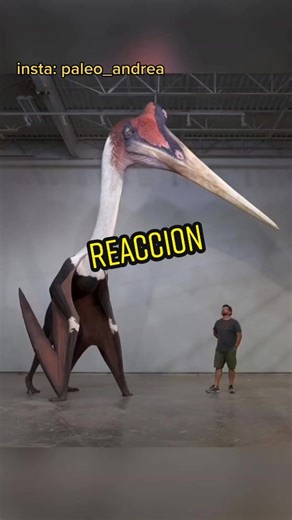 Paleo Andrea: Fascinating Facts About Pterodactyl Jurassic World