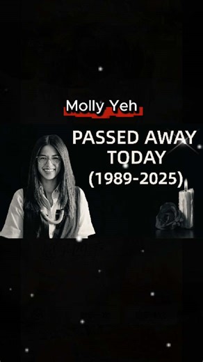 What Happened to Molly Yeh on Girl Meets Farm?