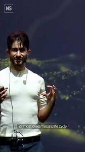 The parasitic plant with the largest flowers in the world 🌺