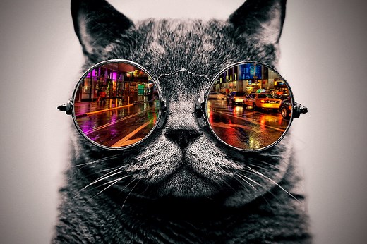 Photo compte Google : changer ou supprimer l'image de profil