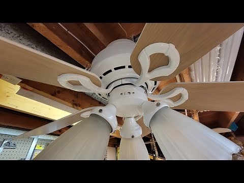 Hunter Coastal Breeze Plus Ceiling Fan