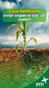 🌿 ¿Sabes qué fertilizante usar según el tipo de suelo? Esta decisión puede marcar la diferencia en el rendimiento de tus cultivos. Cada suelo tiene características distintas, y no todos los fertilizantes se comportan igual frente a la acidez o salinidad. Elegir mal puede acentuar los problemas. Escoger bien, mejora la absorción de nutrientes y fortalece tus cultivos. 💪 📌 ¿Qué debes tener en cuenta? ✔️ Propiedades físicas y químicas del suelo. ✔️ Compatibilidad entre los fertilizantes y el sue
