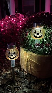 Head over to @dollartree and snag some solar stake lights while they are still in stock for the summer and light up your pathway this Halloween! I would recommend using E6000 glue rather than a hot glue gun as it creates a stronger bond and keeps the rain water out. I learned the hard way 🫠 #halloween #pumpkin #jackolantern #dollartree #fyp | Laura Jeanne