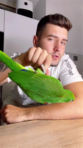 Interacting with a Vibrant Green Parrot in a Modern Kitchen