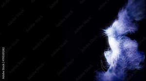 3D animation. The character is a silhouette made of fur, dancing provocatively