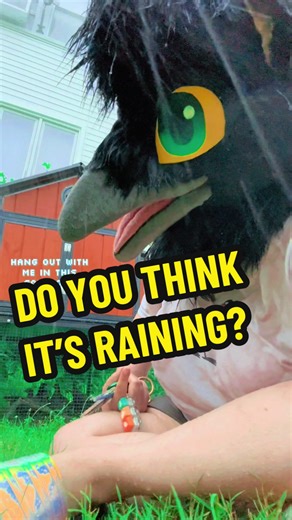 just chilling with the chickens, wyd? #newengland #massachusetts #summer #thunderstorm #weather #furry #chickens #fyp