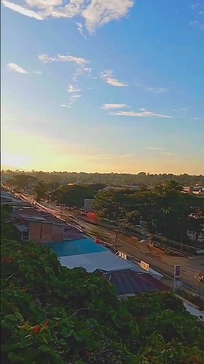 Owl City | Fireflies