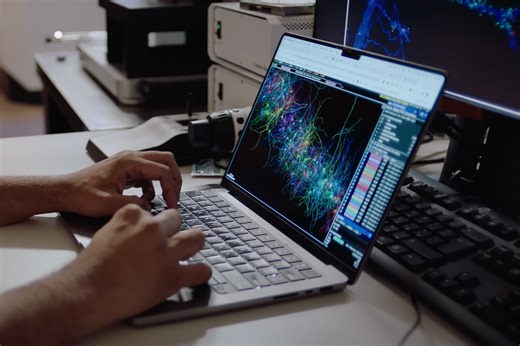 Google and Harvard Use AI to Map the Brain in 3D