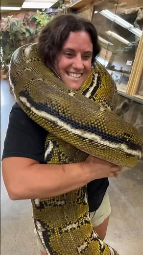 This Python wanted a Big Hug😅