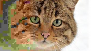 Why Isn't JPEG Dead and Is HEIF the Solution? | Fstoppers