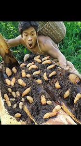 218K views · 1.3K reactions | Cook tasty coconut worm fillets #reels #shorts #cooking #survival #outdoors #primitive #food #recipe | Super Chef | Facebook