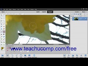 Photoshop Elements 2019 Tutorial The Background Eraser Tool Adobe Training