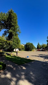 No contracting job too unusual! We do it all when it comes to home improvements! 🌳🏡 Contact us today! ☎️Phone: (503) 800-7392 📧Email: info@carpcontracting.com 🌎Website: carpcontracting.com CCB#: 255243 | Carp Contracting