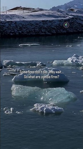 Zombie Fires — The Wildfires That Come Back