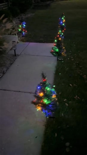 ✨I absolutely love these Solar Christmas Tree Stake Lights | Slightlyto | Facebook