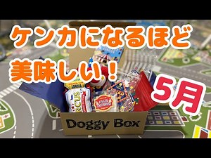 ケンカになるほど美味しいおやつ【Doggy Box⠀】