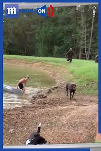 1.3M views · 10K reactions | These kids think Bigfoot is after them! Via Caters News | Daily Mail Video | Facebook