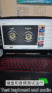 Msi Katana GF66- Display problem - troubleshoot