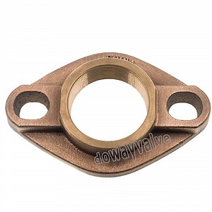 [Hot Item] Thread End Bronze Water Meter Flange