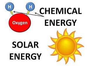 Energy in Living Systems