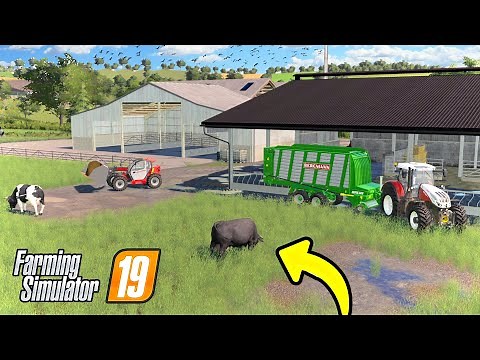 FINALLY WE'VE GOT SOME! | MULTIPLAYER FS19 | OAK HILL - Ep 6