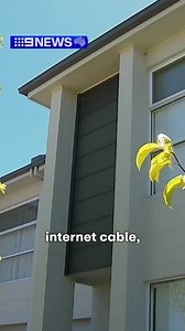 310K views · 1.3K reactions | An Adelaide OnlyFans model has been left devastated after almost $800,000 worth of designer clothes, handbags and more was stolen from her home on Christmas Eve. #9News READ MORE: https://nine.social/Tjr | 9 News | Facebook