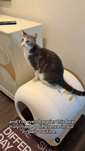 Sam on Instagram: "Say goodbye to messy litter floors! 😻 We switched to the Furrytail Automatic Litter Box Pro, and it changed everything—whisper quiet, super hygienic, and so easy to clean. Gizmo is obsessed… and so am I! 🎉 Use code Sam for 10% OFF 🛒 Shop here: [link in bio] 🐾 @furrytail_official . . . . . . #Furrytail #catlife #litterboxupgrade #ad#catlover #cat #cats_of_instagram"