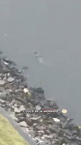 Mermaid captured on video #mermaid #mermaids | Jullian Moises Serrano Aleman