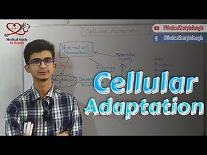 Cellular adaptation pathology in bangla | Hypertrophy, Hyperplasia, Atrophy, Metaplasia