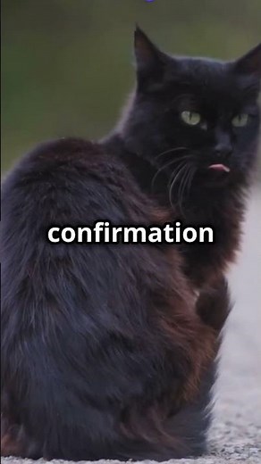 5 Superstitions Explained – The Surprising Science Behind Them! #facts #amazingfacts