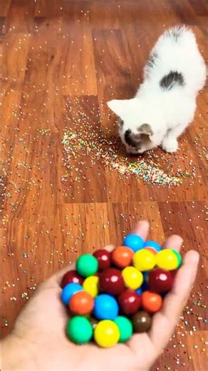 “Reverse Water Splash Magic 💧✨ | Oddly Satisfying & Relaxing Reverse ASMR” #reverse #reverse marble