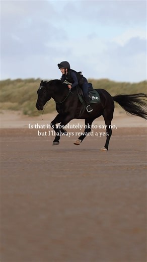 My horses are allowed to say NO! 🤩 #naturalhorsemanship