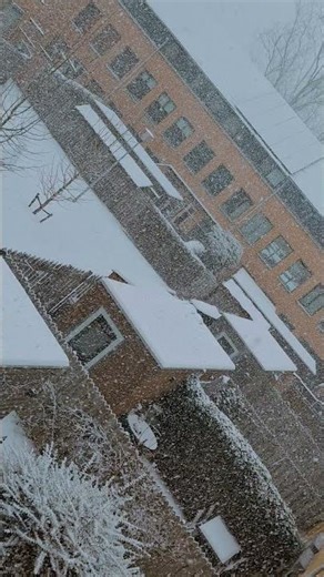 Snowfall Wachers?#snow #snowfall #snowseason #winter