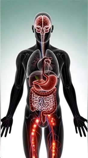 "Apple: 🍏 🍒 The Nutrient Powerhouse – A Cinematic Journey|FM Bio Lab