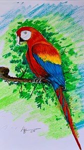 Macaw bird drawing with pastel color #Macaw #painting #drawing #art #pastel | Rajib Easy Drawing Maker