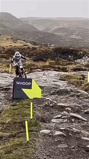 Mini Waffle Maker Creates AMAZING Homemade Treats Quickly