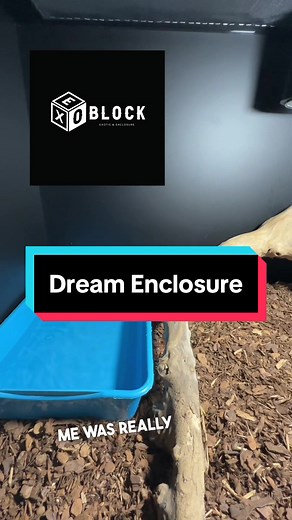 Designing a Dream Enclosure: Tips for Reptile Keepers