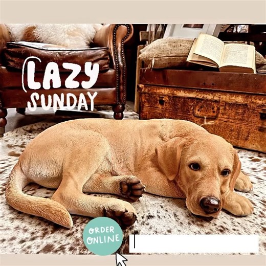 Meet LADY the Labrador… JUST Landed or shall we say layed down @ The OLDE Farm Store ! She’s A BEAUTY… So REAL https://www.oldefarmstore.com.au/products/copy-of-lady-the-labrador #tamworth #labrador #doglover #gardeninspiration #gardendecor #verandah | The OLDE Farm Store | Facebook