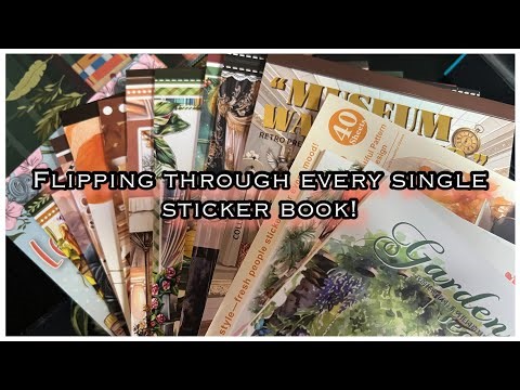 Amazon Sticker Book Haul! These are AMAZING!