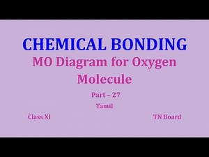 Chemical Bonding/ Class 11/ Part 27 / MO Diagram for O2 molecule/ TN Board # tamil #Oxygen