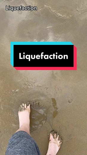 Wendy Bohon, PhD on TikTok