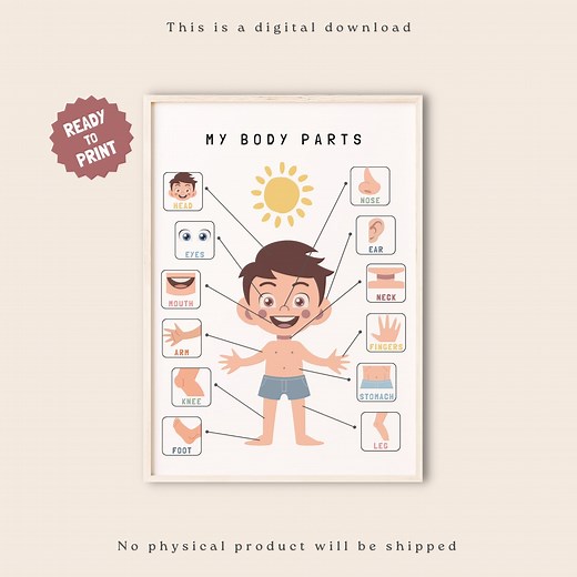 My Body Parts, Educational Poster, Printable Wall Art, Anatomy Poster, Anatomy for Kids, Preschool Classroom Decor, Body Parts Poster - Etsy
