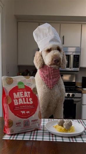 Parmigiano Reggiano & Mozzarella 🧀 Kristina & Jake on Instagram: "AD| Okay so maybe they aren’t real Italian meatballs, but close enough in my book. @openfarmpet meatballs are always gobbled up quickly in our house as I’m sure you can see. Do you think your dog would be a good chef? Or a bad one? I think Reggiano would eat all of the ingredients before even attempting to prepare anything for anyone else. No sharing just gobbling. These beef and pork blend meatballs are a balanced meal on their 