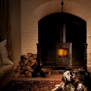 Morso Squirrel 1010 Wood Burning Stove